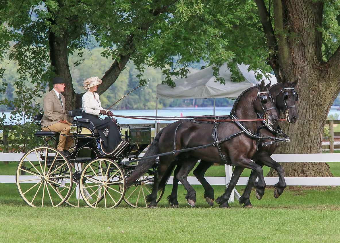 Spider Series – Midwest Custom Carriages